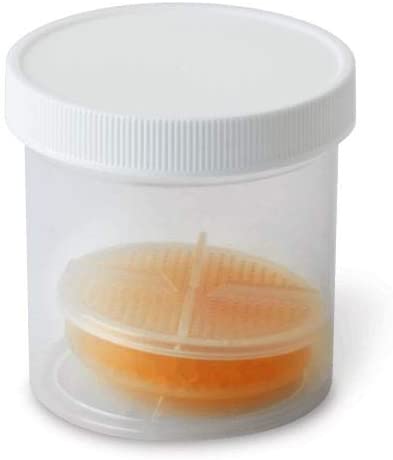 Drying Cup – Audiology South